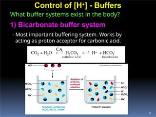 Buffer Systems definition, mechanism of action and importance in medicine.pptx