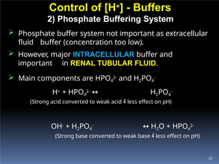 Buffer Systems definition, mechanism of action and importance in medicine.pptx