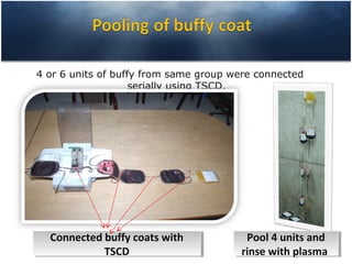 Buffy coat | PPT