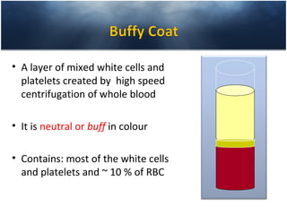 Buffy coat | PPT