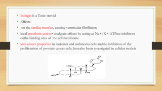 Bufo rana - Scientific Classification, Habitat, External,Internal ...