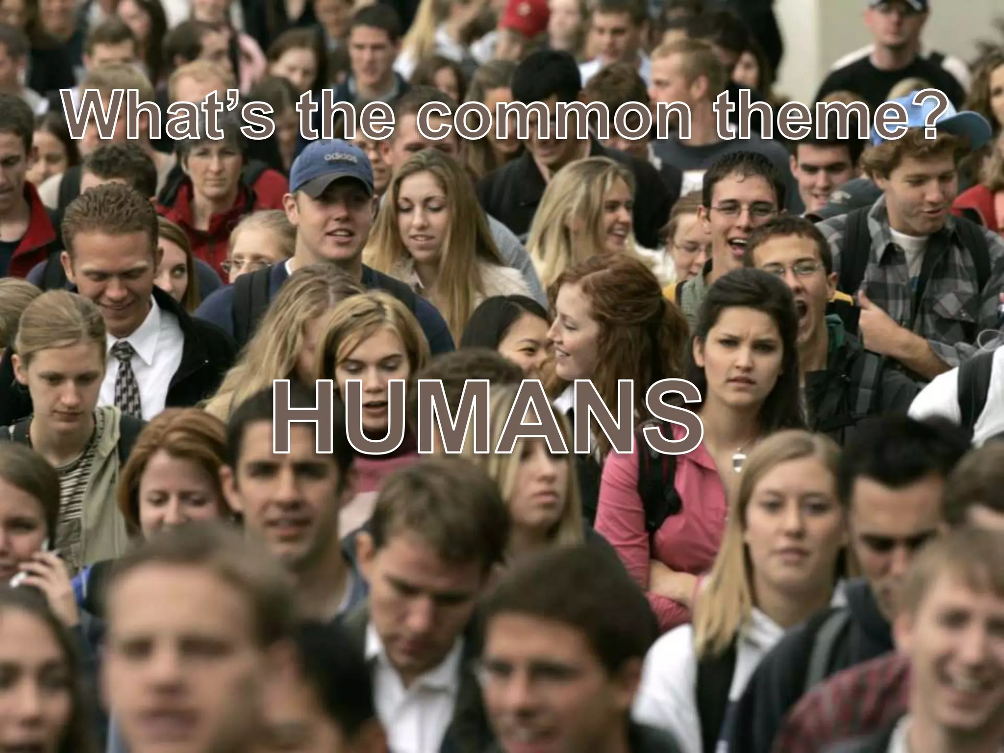 Bug-Free Software? Go For It! | PPT