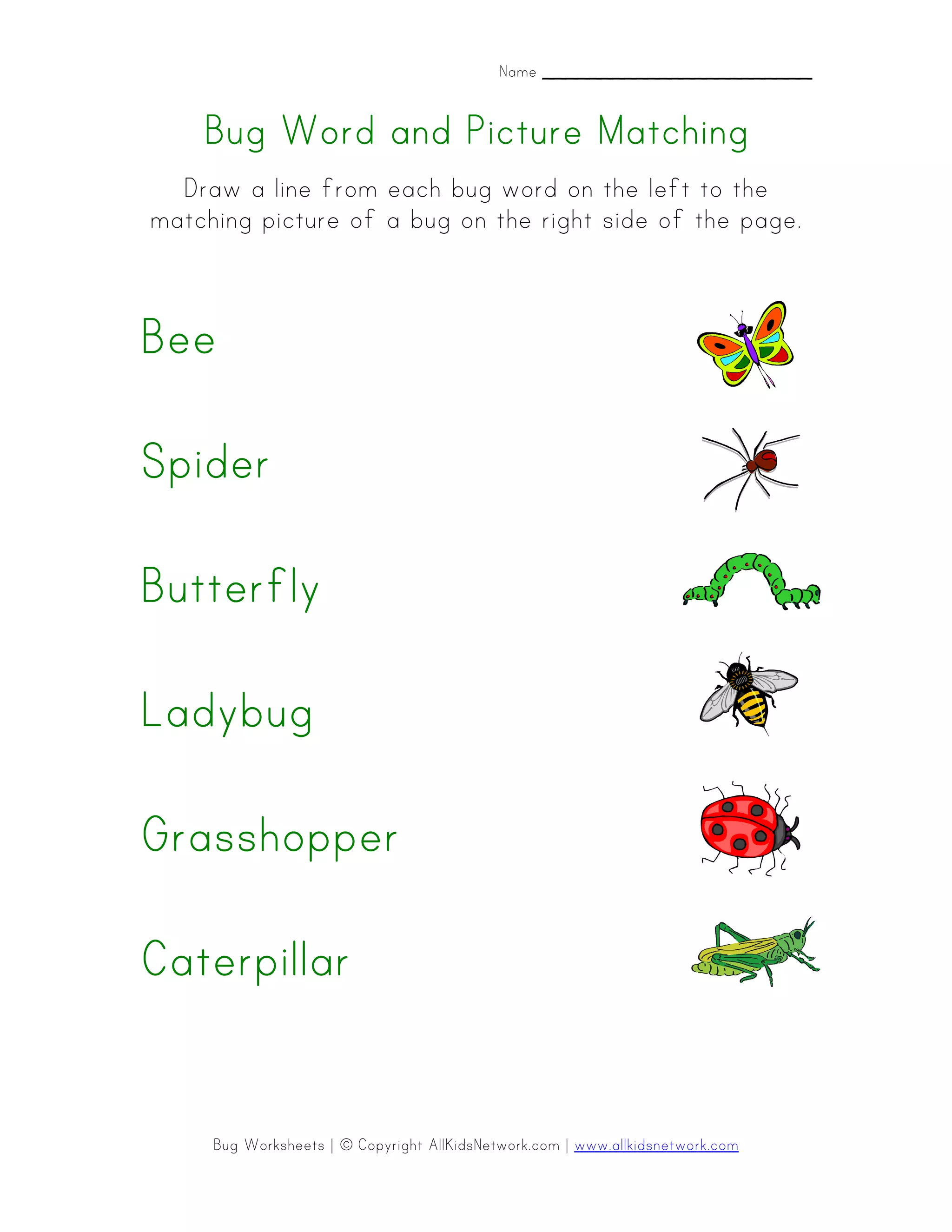 Bug worksheet-matching | PDF