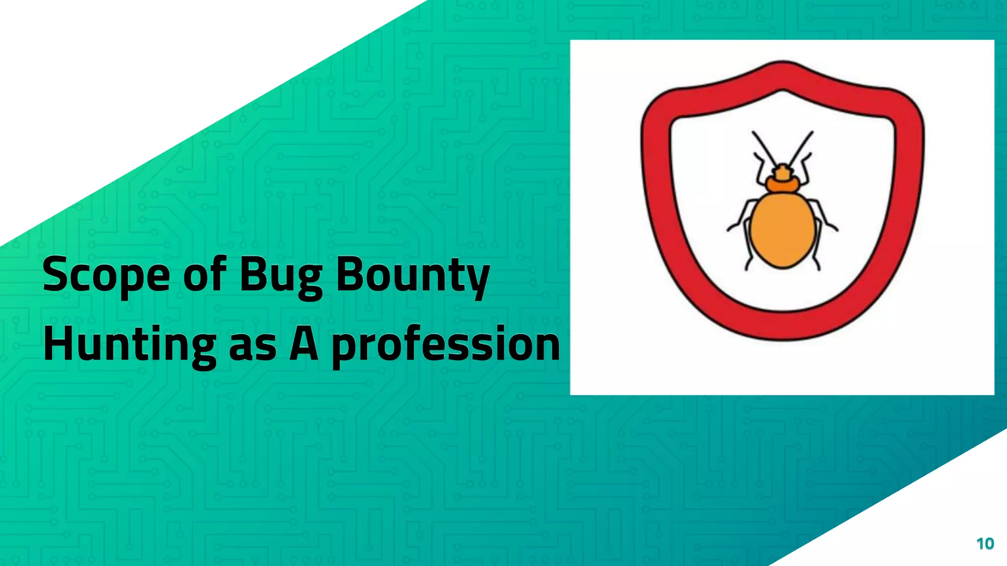 Bug bounty hunting | PPTX