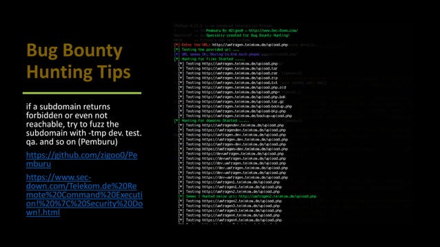 BugBounty Tips.pdf