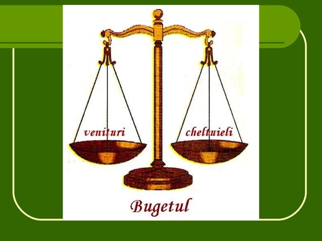 Bugetul familiei | PPT