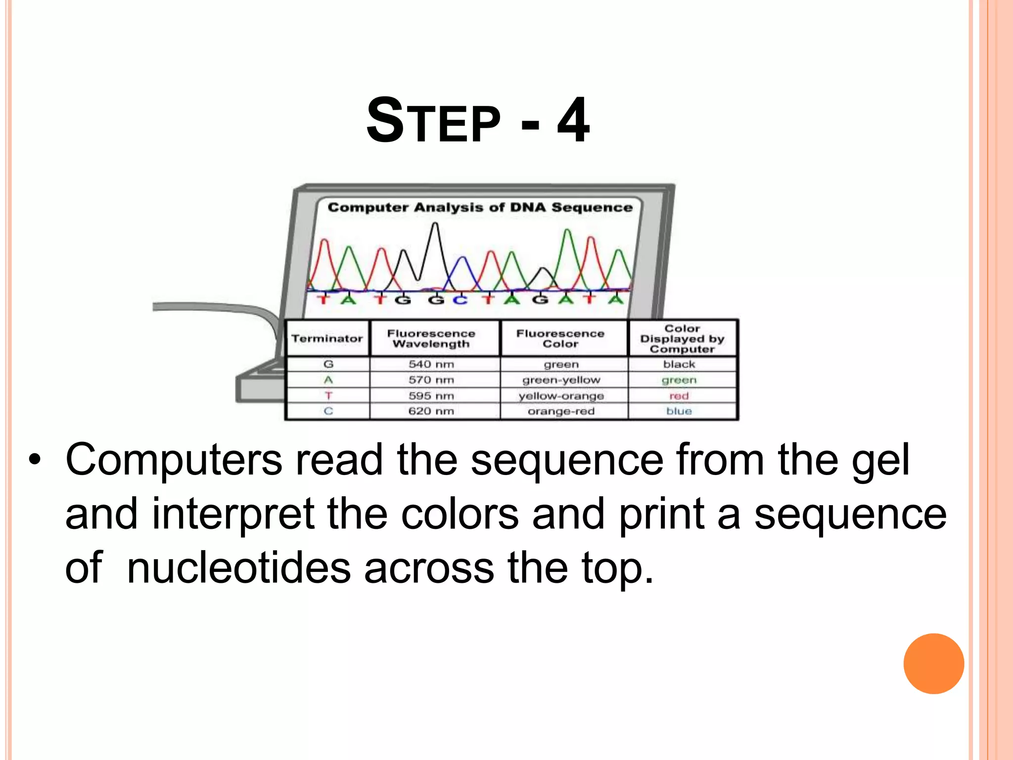 DNA Sequencing process | PPT