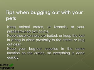 Bugging out, Bug out bags, Emergency Action plans and Amazing ...