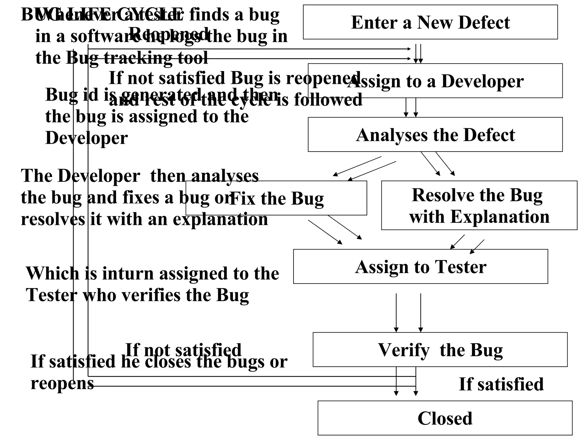 Buglifecycle Ppt 