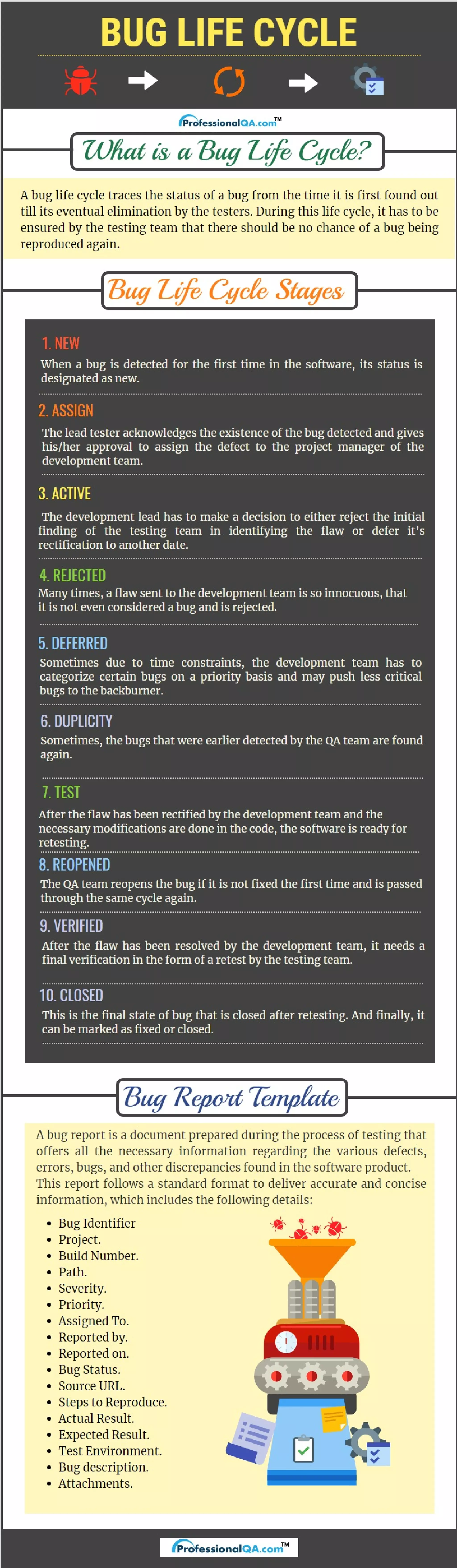 Bug life cycle: Stages, Template | PDF