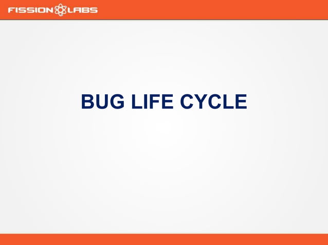 Bug life cycle | PPTX | Technology & Computing