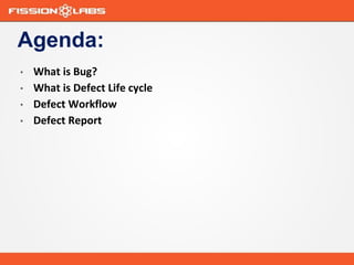 Bug life cycle | PPTX