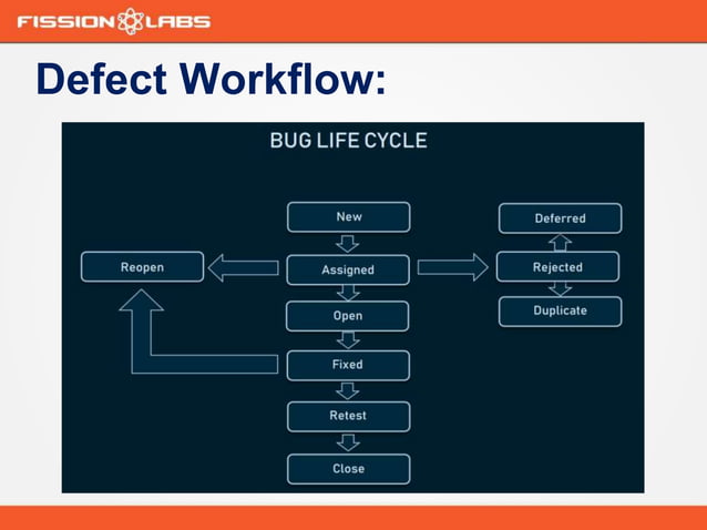 Bug life cycle | PPTX | Technology & Computing