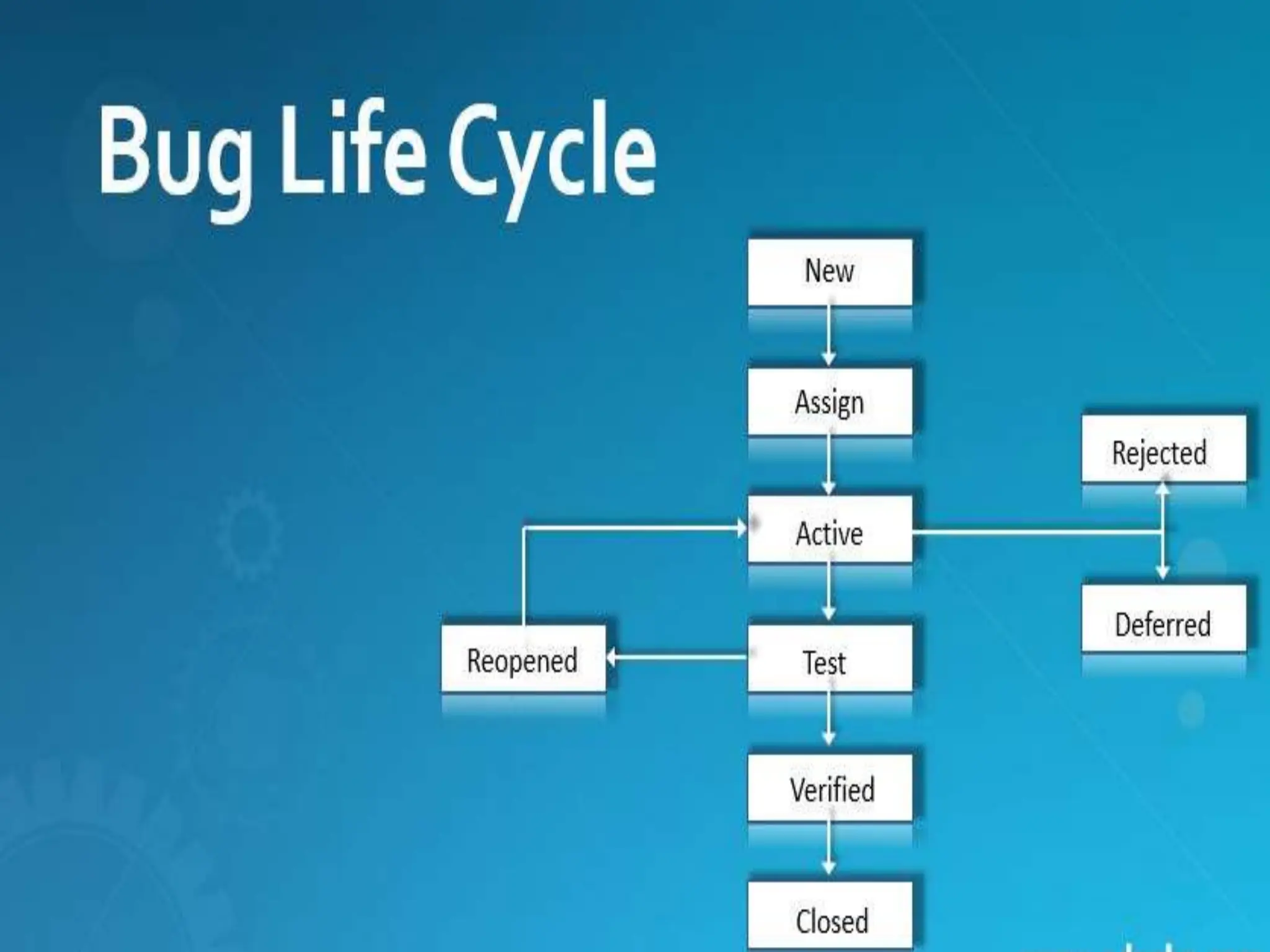 Bug life cycle.pptx