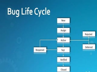 Bug life cycle.pptx