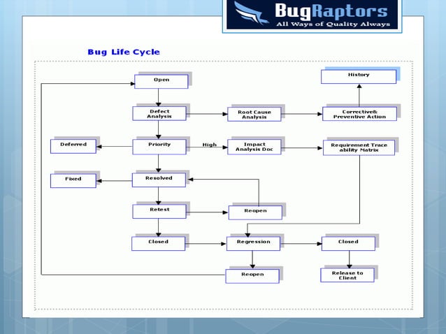 Bug life cycle | PPTX