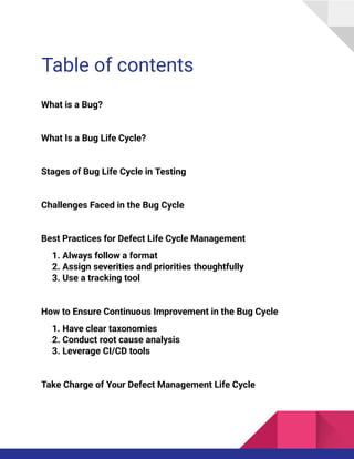 Bug Life Cycle in Software Testing: Understanding the Journey from ...