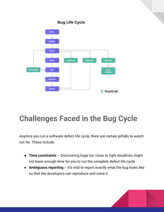 Bug Life Cycle in Software Testing: Understanding the Journey from ...