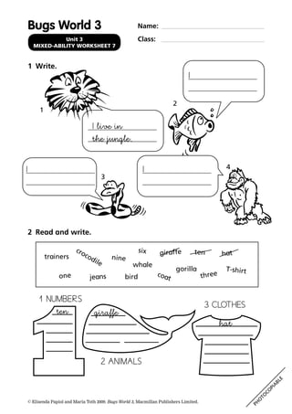 Bugs 3 animals | PDF