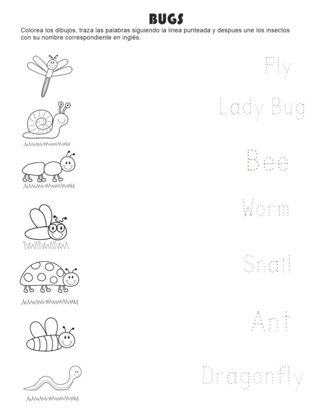 Bugs Excercise