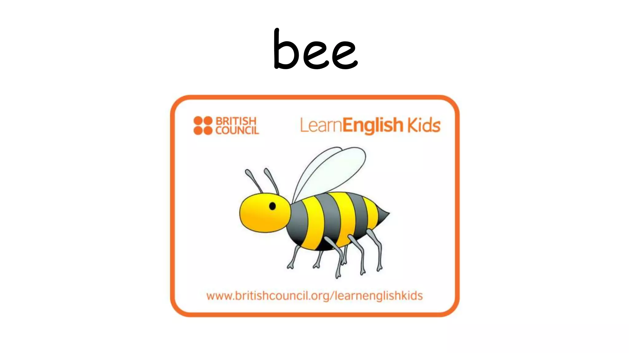 Bugs & Insects | PPT