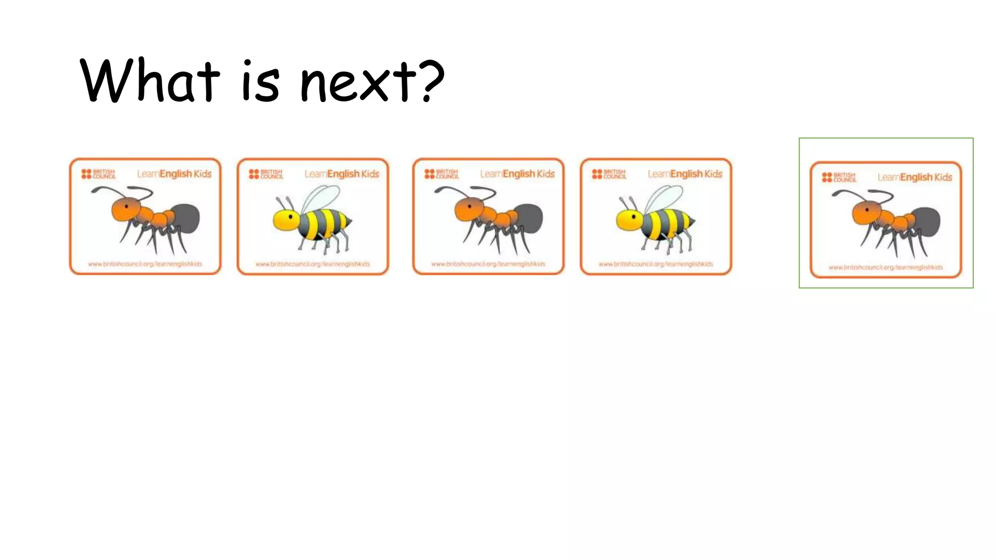 Bugs & Insects | PPT