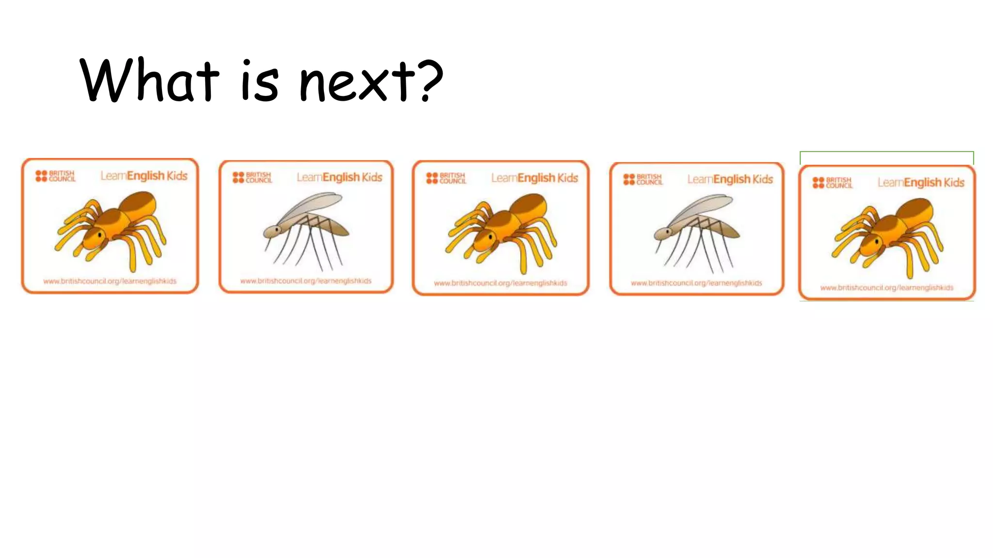 Bugs & Insects | PPT
