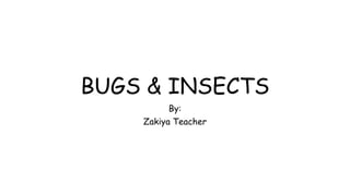 Bugs & Insects | PPT