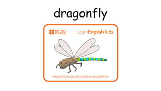 Bugs & Insects | PPT