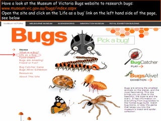 Bugs life | PPT