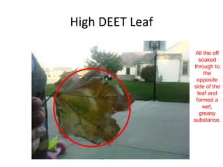 Bug spray science experiment pictures | PPT