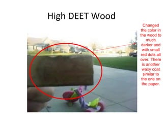 Bug spray science experiment pictures | PPT