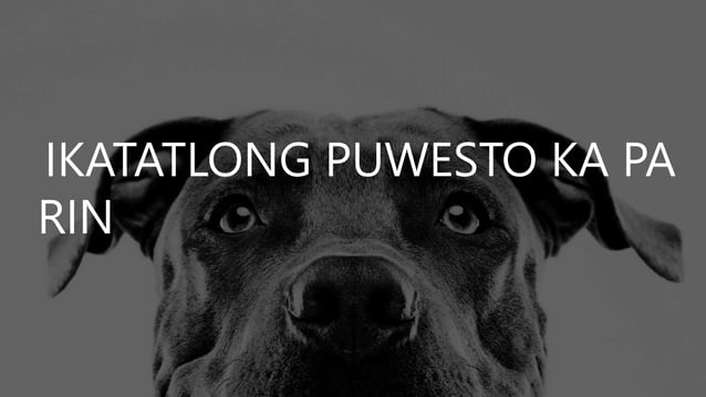 bugtong at mga kuwentong-bayan na leksiyon | PPT