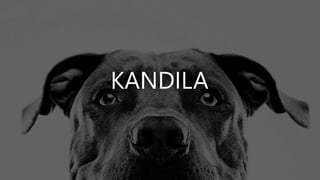 bugtong at mga kuwentong-bayan na leksiyon | PPT