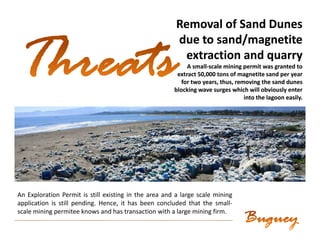 Buguey_Magnetite_Sand _Mining | PDF