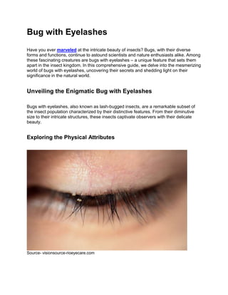 Bug with Eyelashes Treatment process.docx