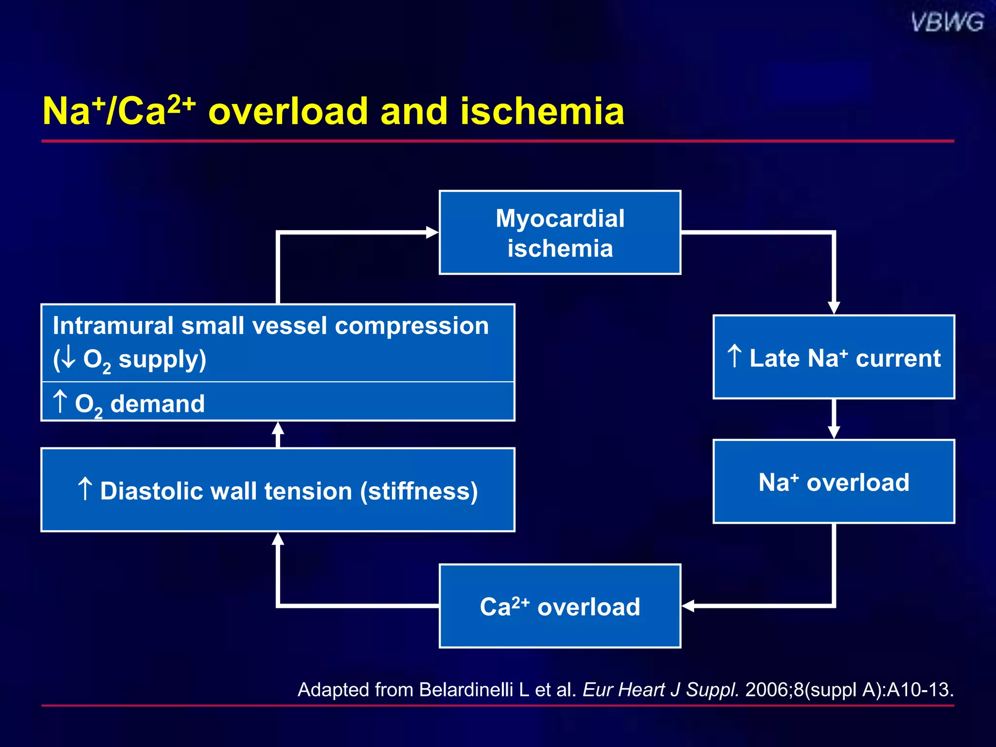 Antiangina_treatment_.ppt
