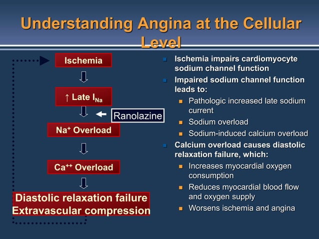Antiangina_treatment_.ppt
