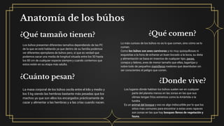 buhos las caracteristicas y sus partes d | PPTX