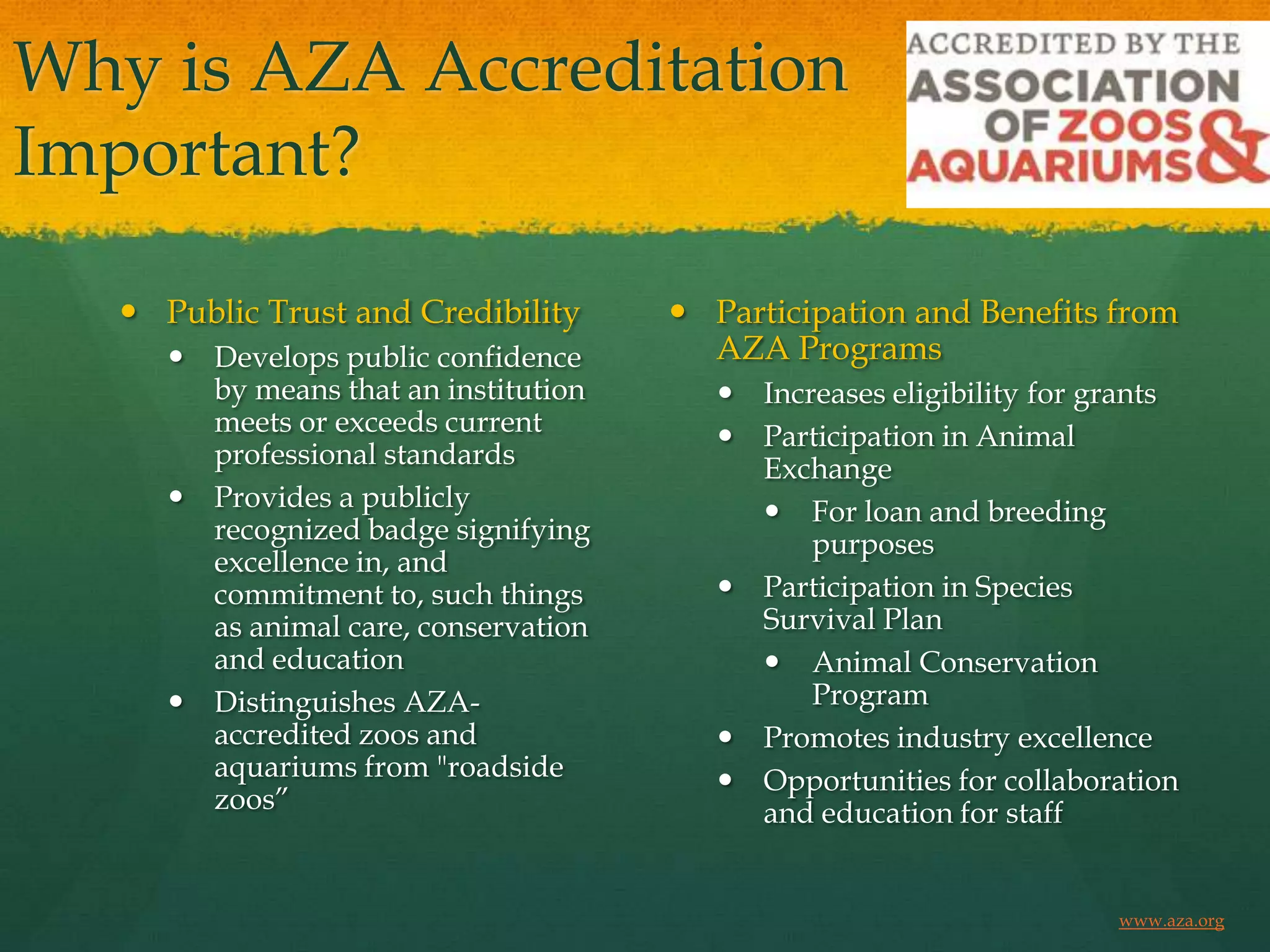 Sacramento Zoo Strategic Analysis | PPTX