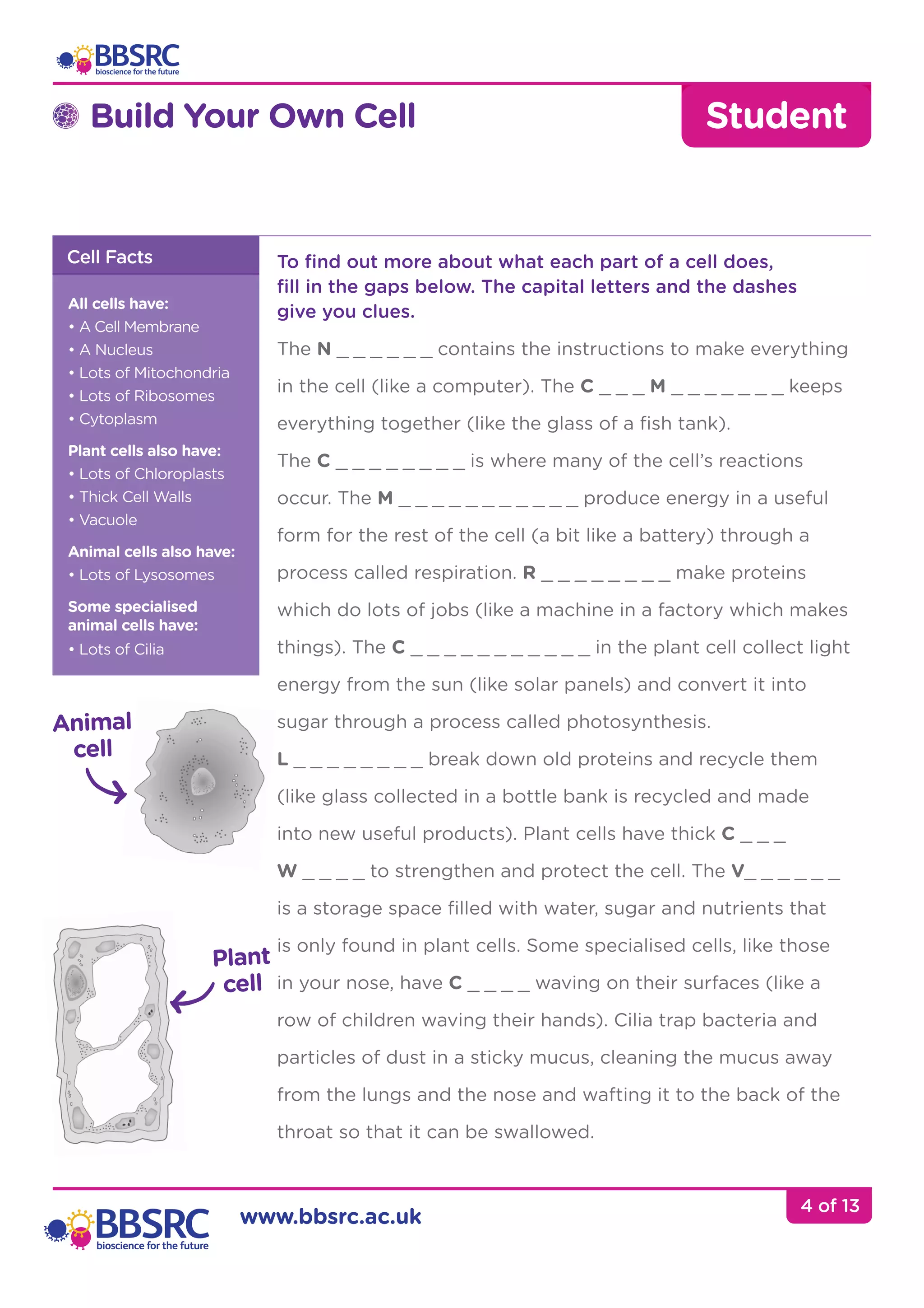 build-your-own-cell-pdf.pdf