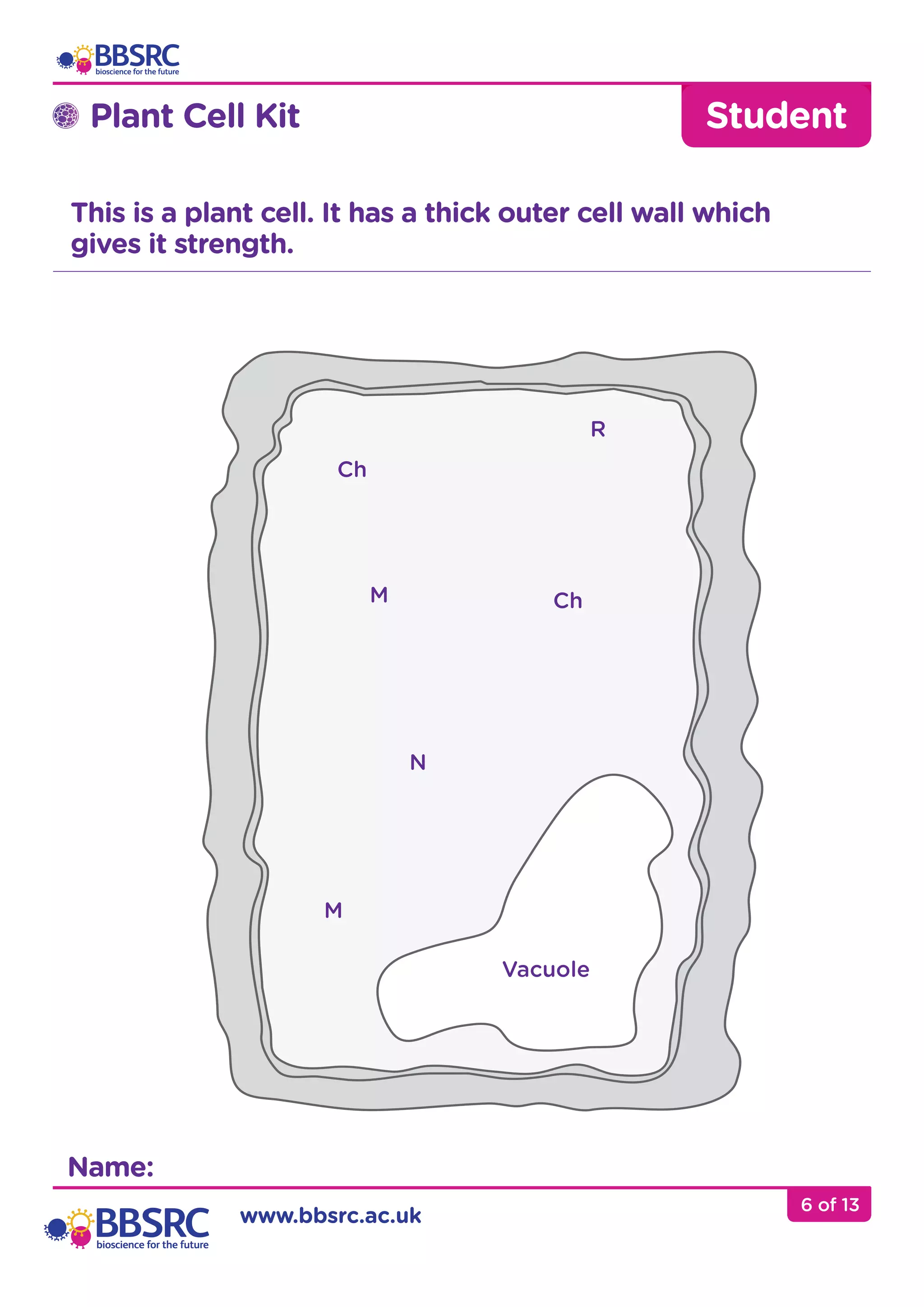 build-your-own-cell-pdf.pdf