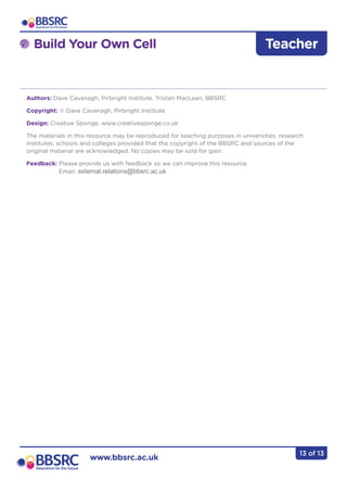 build-your-own-cell-pdf.pdf