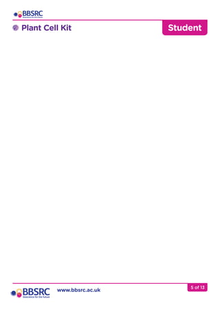 build-your-own-cell-pdf.pdf