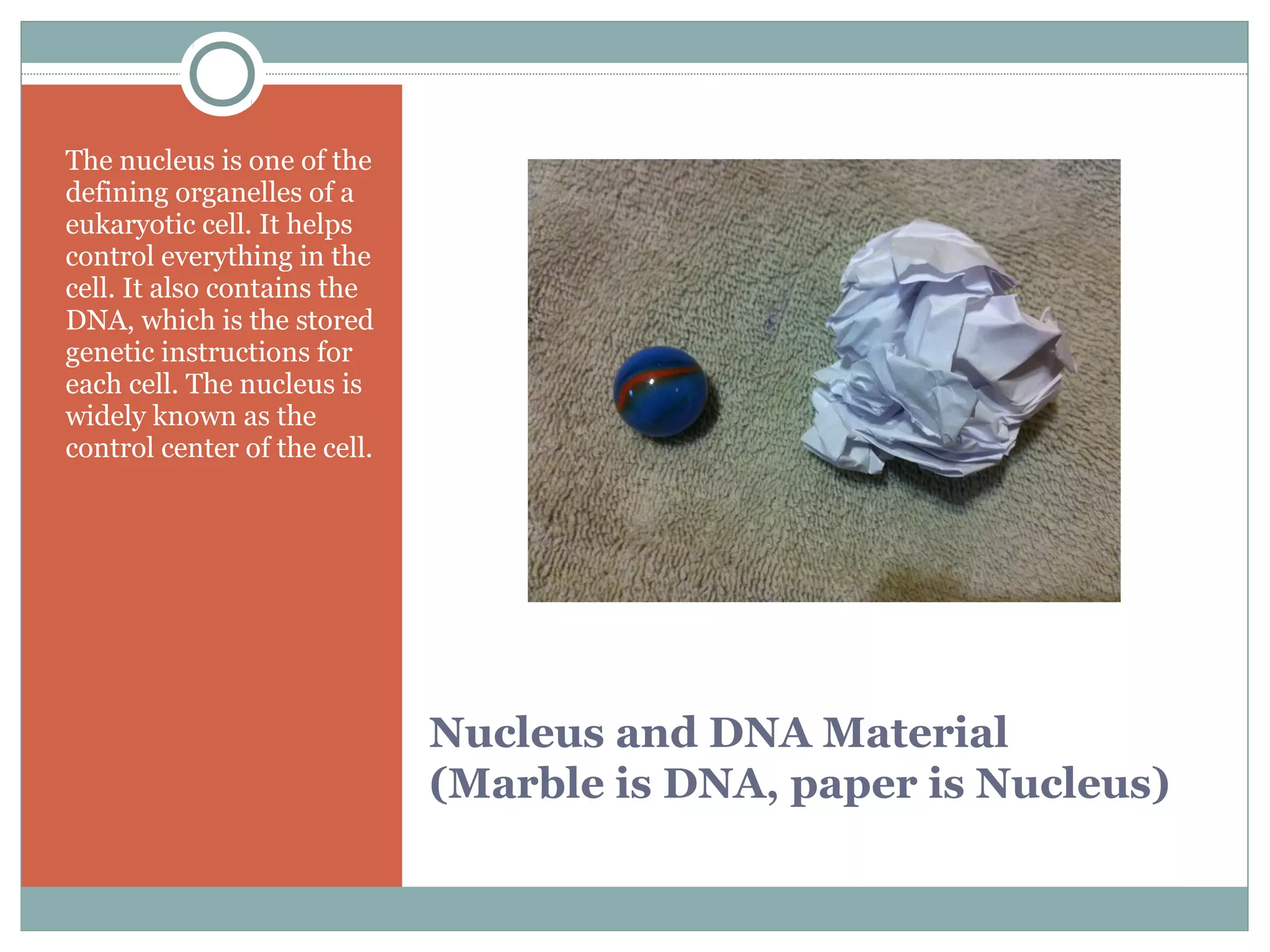 Build a cell project bsc2009 thomas garr | PPT
