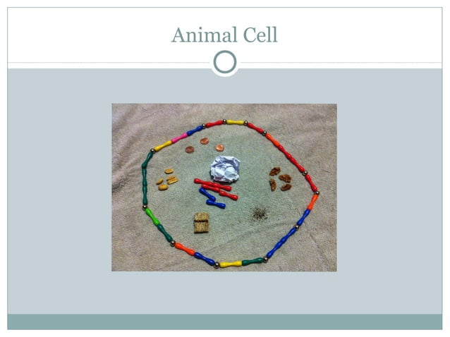 Build a cell project bsc2009 thomas garr | PPT