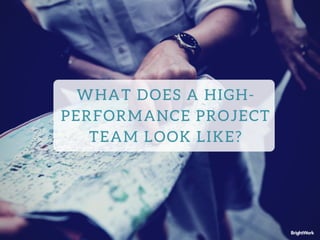 Build a High-Performance Project Team | PDF