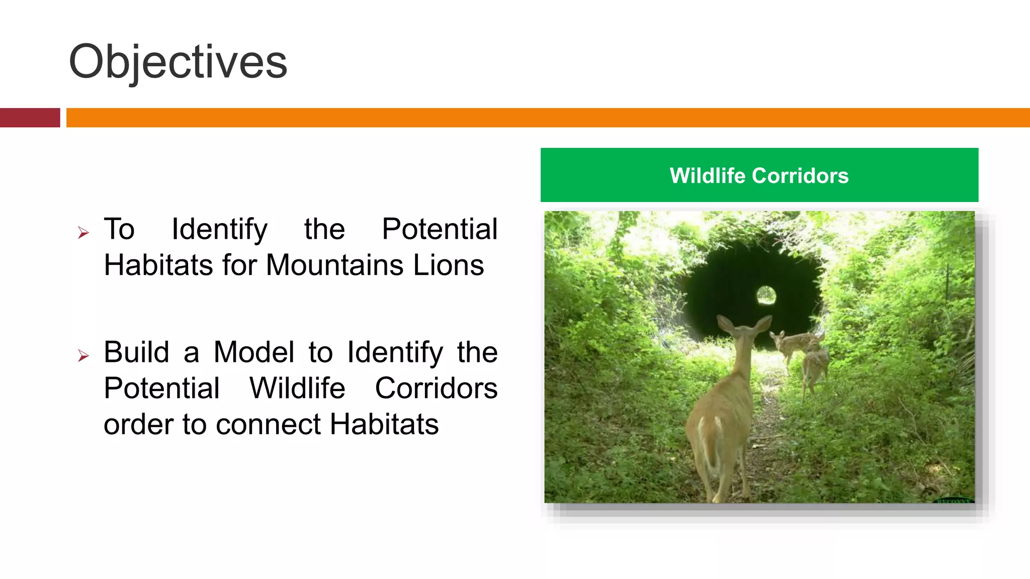 Build a model to connect mountain lion habitat | PPTX