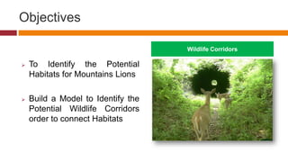 Build a model to connect mountain lion habitat | PPTX
