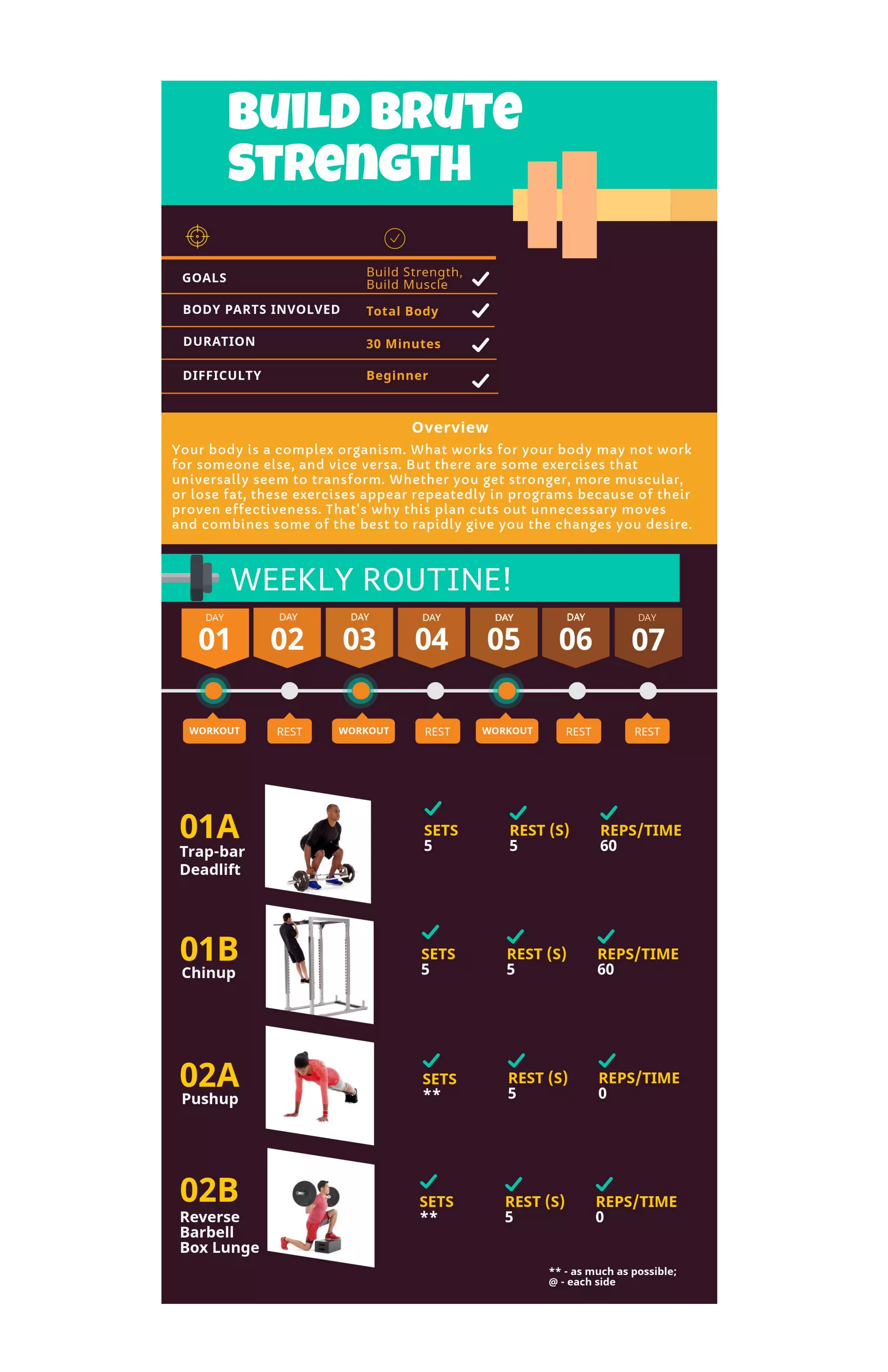 Build brute strength | PDF